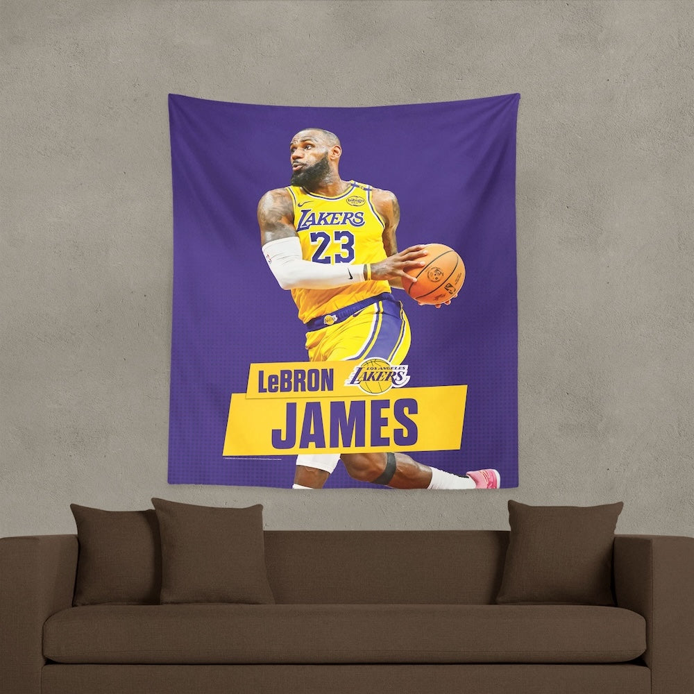 Buy NBA Los Angeles Lakers Lebron James Wall Hanging – ProFootballStuff